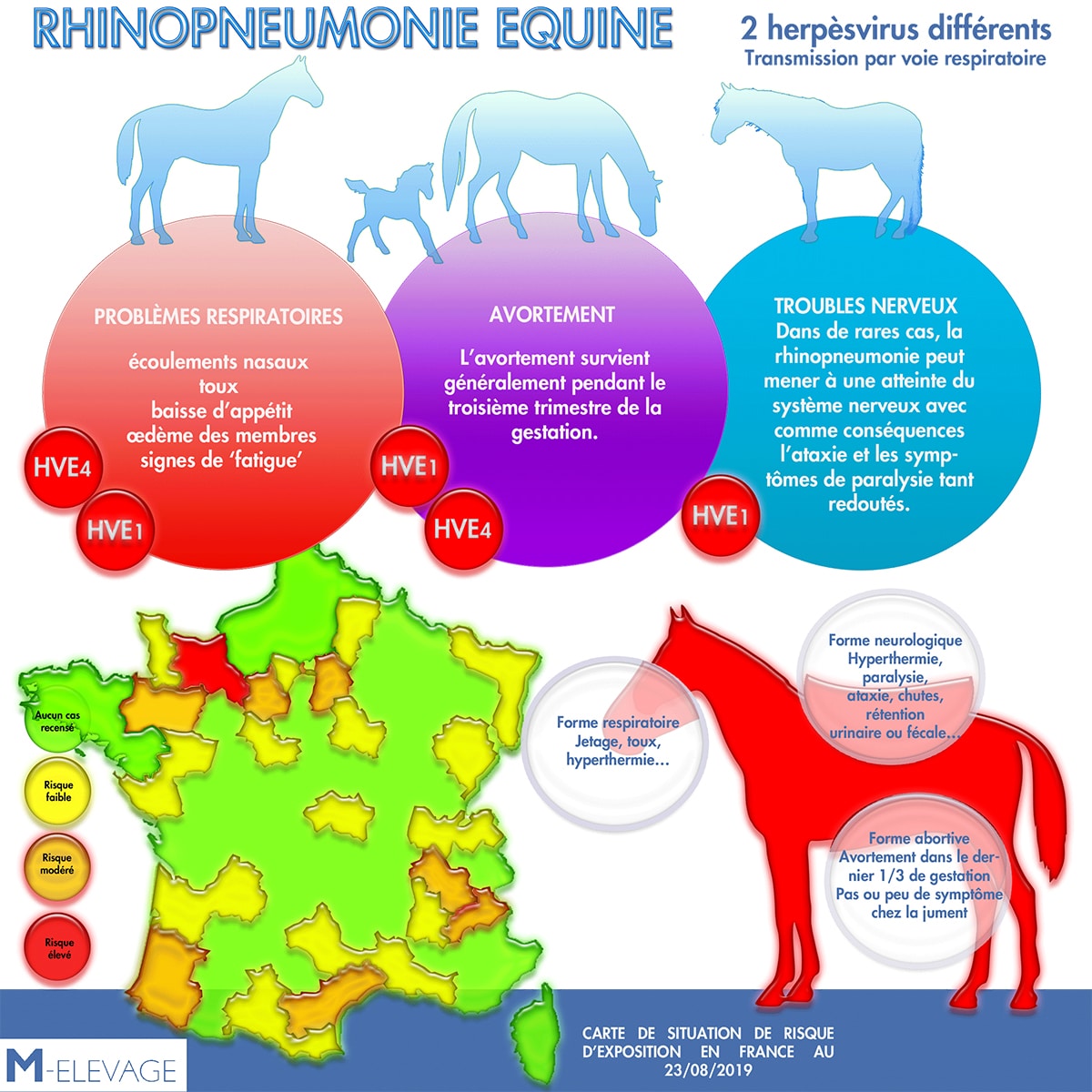 EQUIN_RHINOPNEUMONIE-EQUINE | M-ELEVAGE