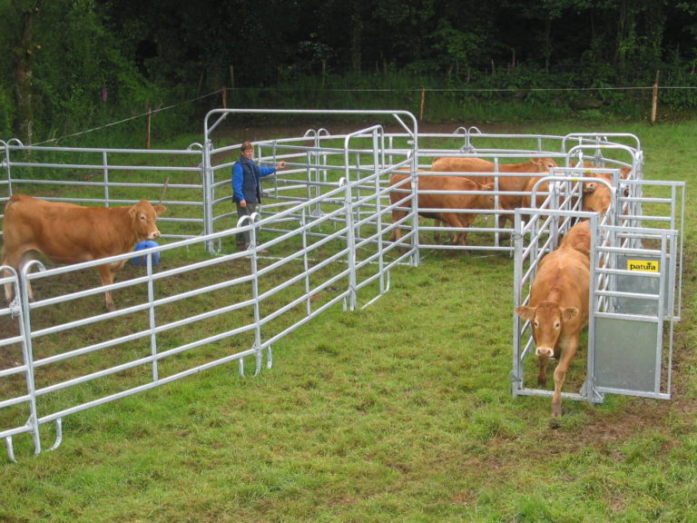 MISE A DISPOSITION DE MATERIEL MOBILE POUR LA CONTENTION DE BOVINS | M-Elevage